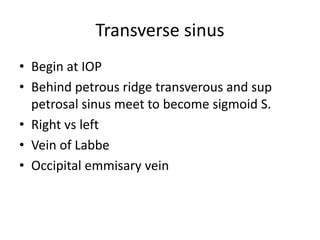 Brain venous system | PPTX