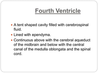 Brain ventricles | PPTX