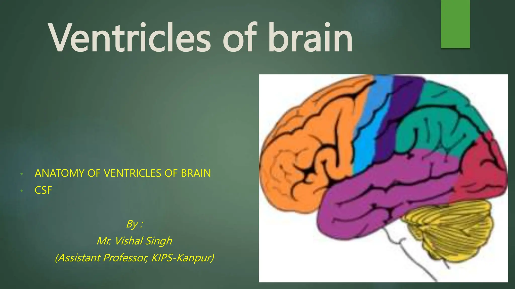 Unit- I; Anatomy and Physiology of Brain Ventricles.pptx