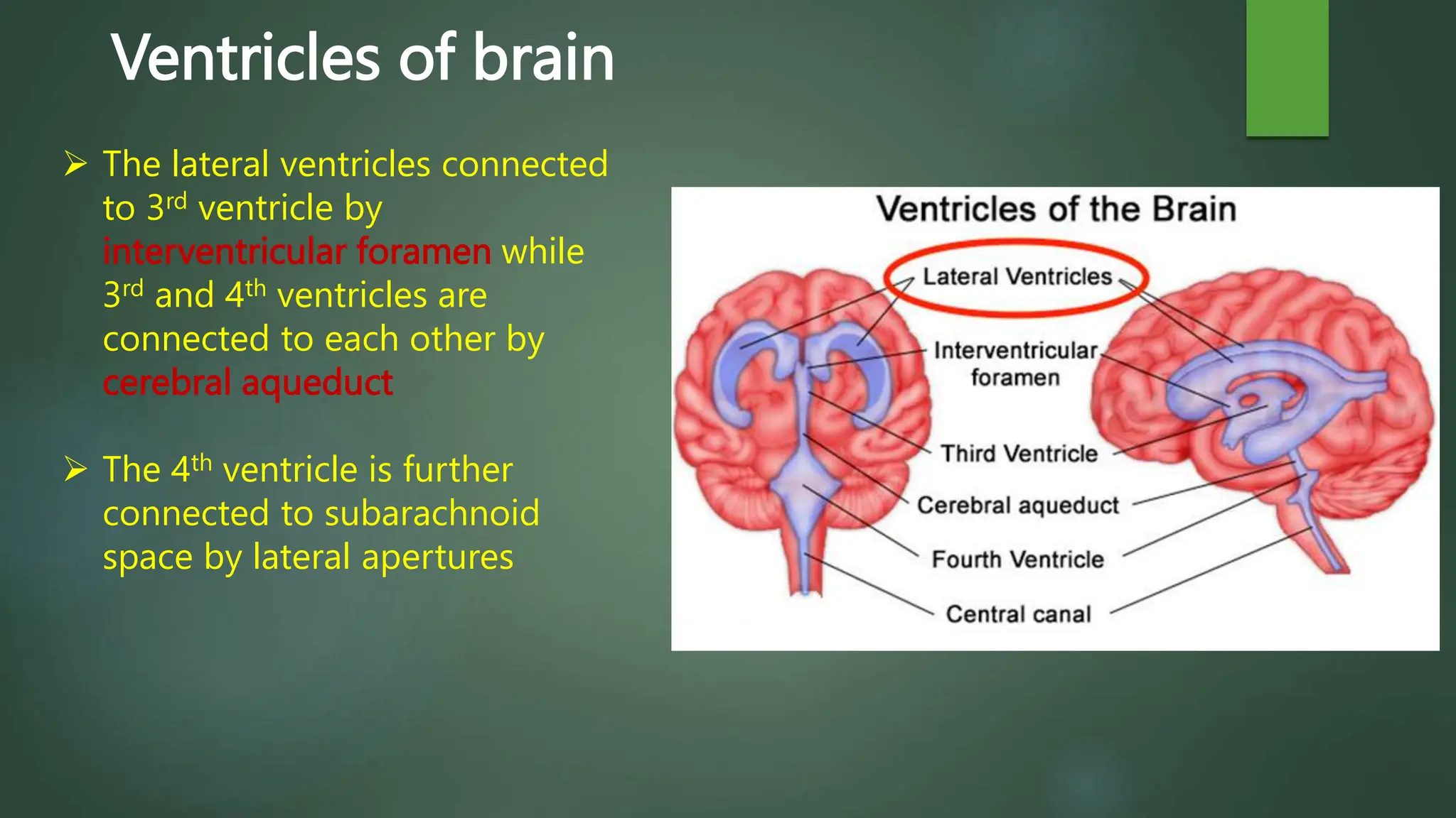 Unit- I; Anatomy and Physiology of Brain Ventricles.pptx