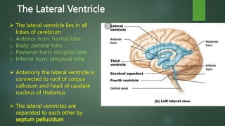 Unit- I; Anatomy and Physiology of Brain Ventricles.pptx