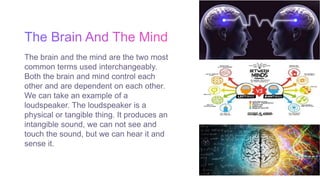 Brain Vs Mind.pptx