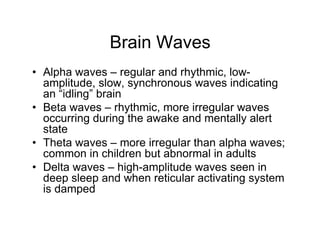 Brain waves | PDF