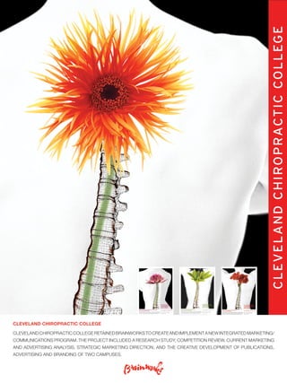 Brainworks Presentation | PDF | Advertising Industry | Industries