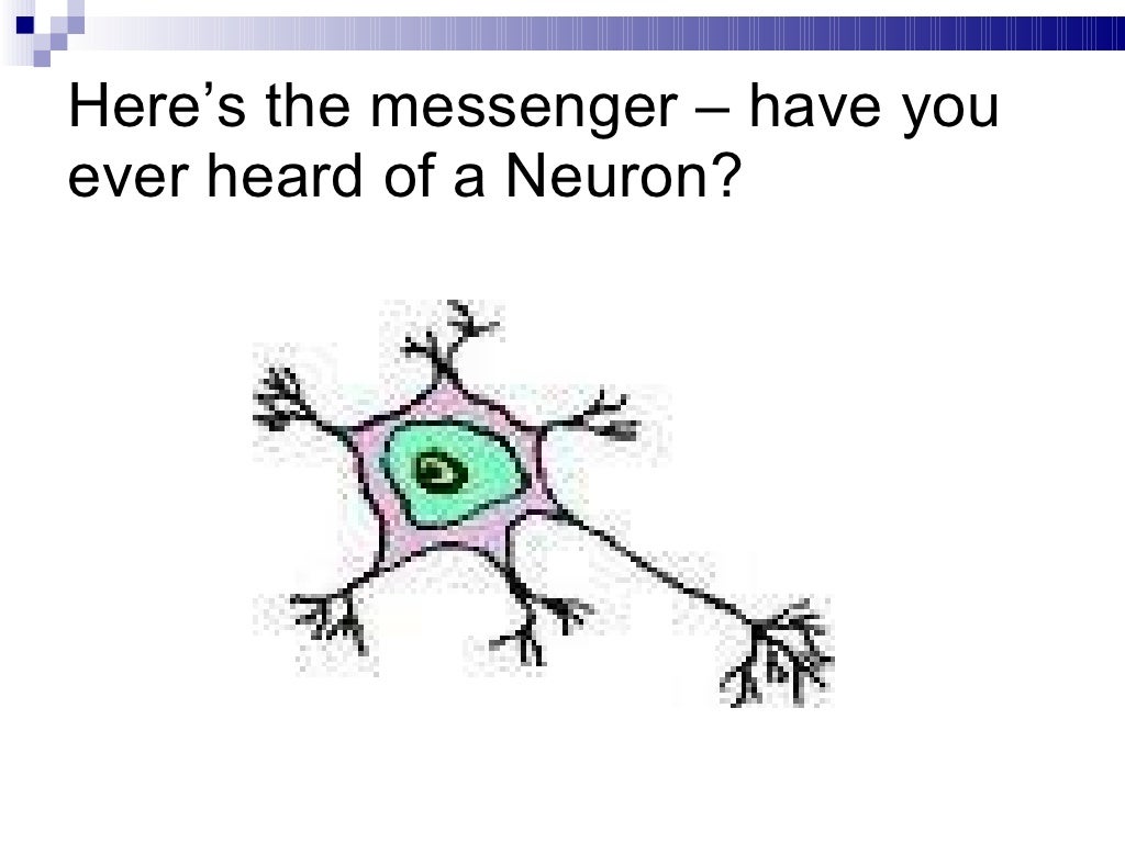 TEAM e3 - Brainy Stuff