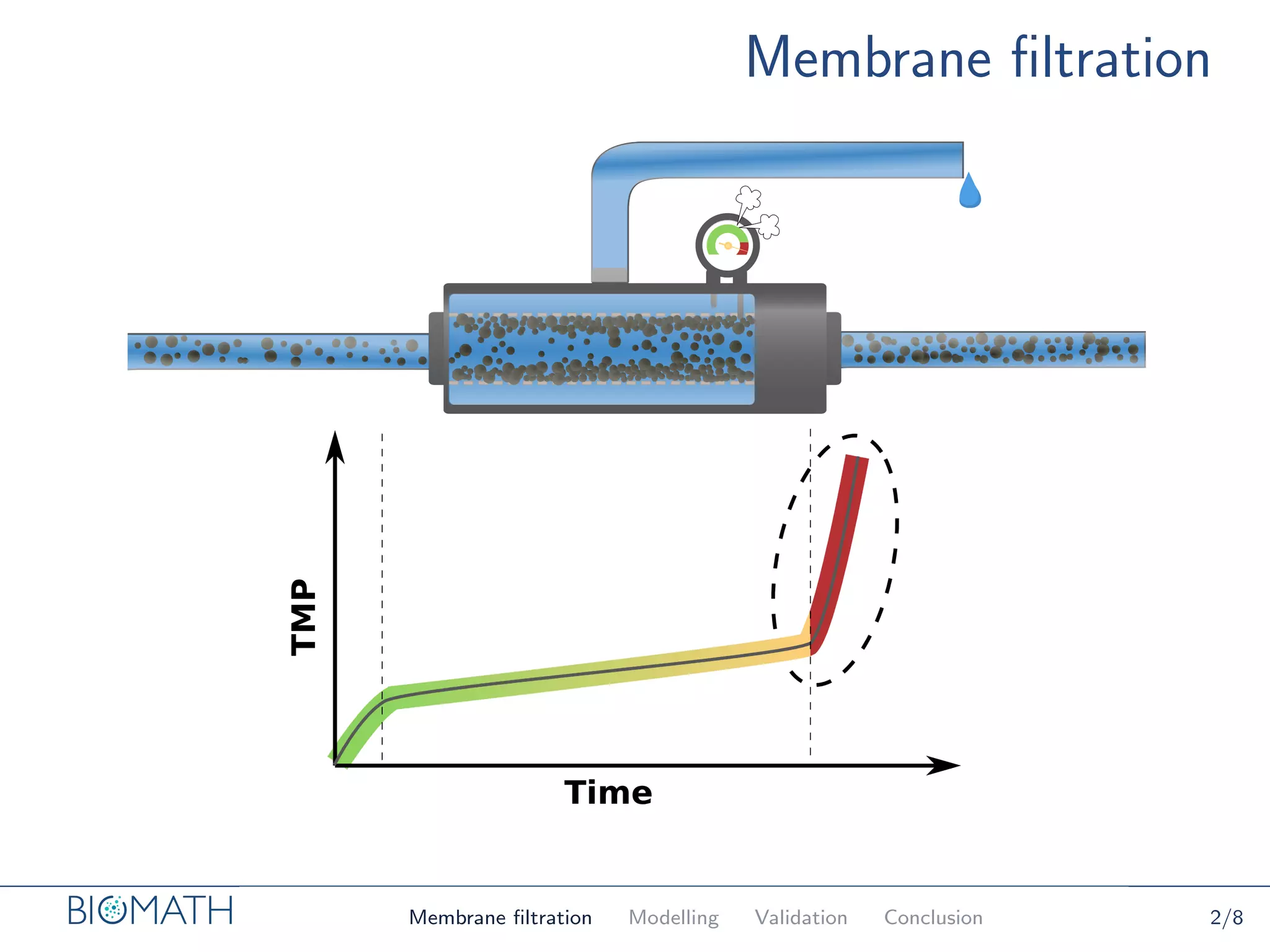 Modeling And Simulation Of Filtration Processes – WILTOT