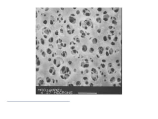 Modelling of filter cake formation in filtration processes | PDF
