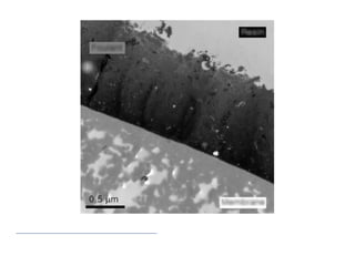 Modelling of filter cake formation in filtration processes | PDF