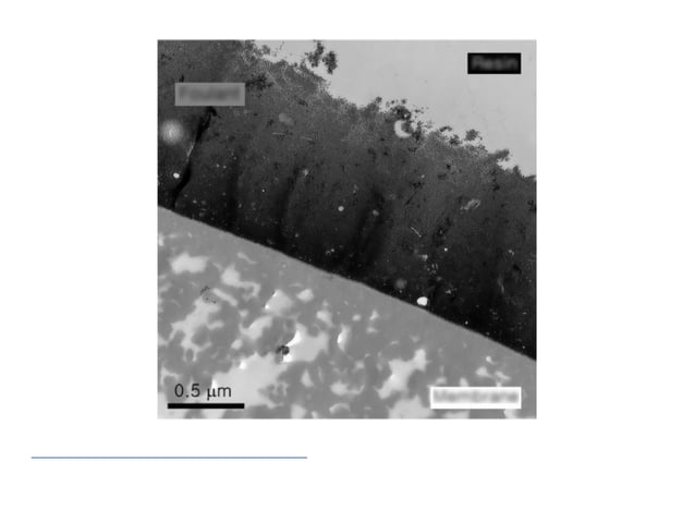 Modelling of filter cake formation in filtration processes | PPT