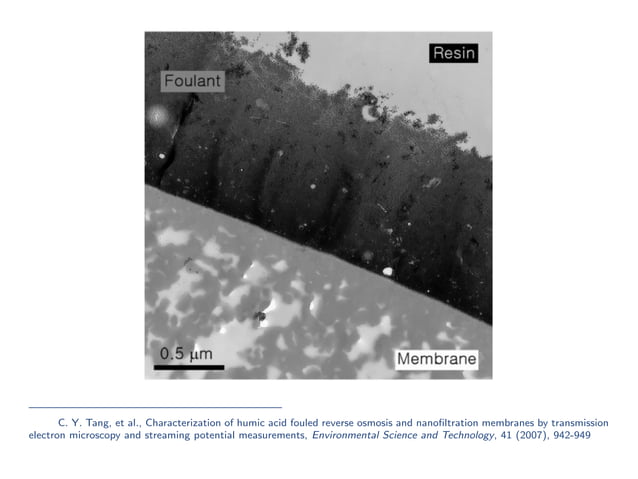 Modelling of filter cake formation in filtration processes | PPT