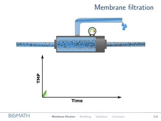 Modelling of filter cake formation in filtration processes | PDF