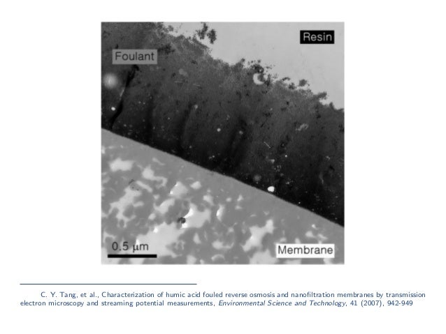 Modelling Of Filter Cake Formation In Filtration Processes
