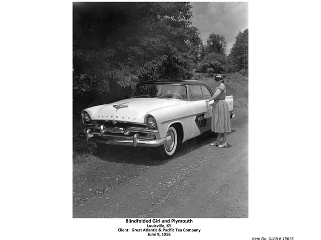 Bramson Exhibition Photos | PPT