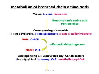 Branched chain amino acid metabolism | PPTX