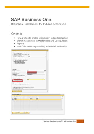 Branch Enablement for Indian localization SAP B1 9.2 | PDF