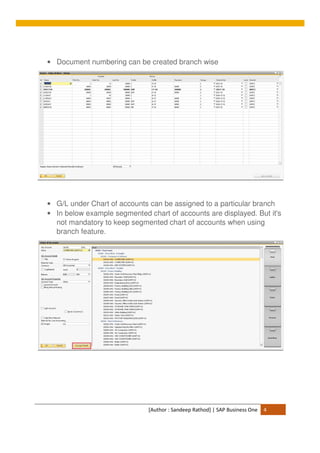 Branch Enablement for Indian localization SAP B1 9.2 | PDF