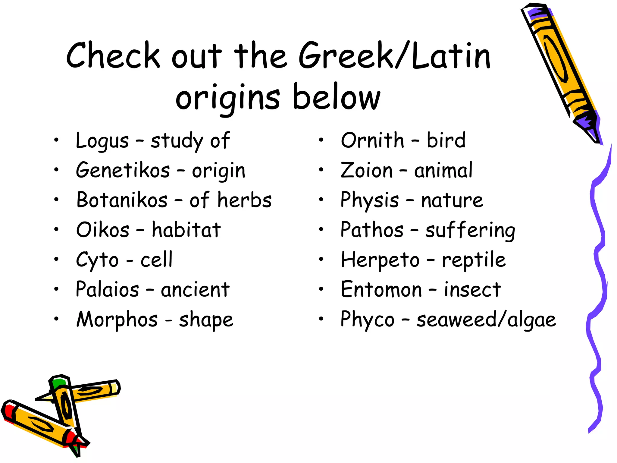 Branches Of Biology | PPT