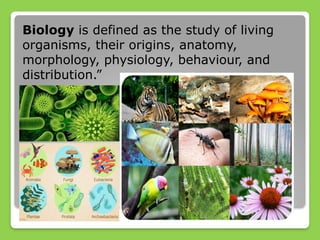 Branches of Biology, Earth and Life Science | PPTX