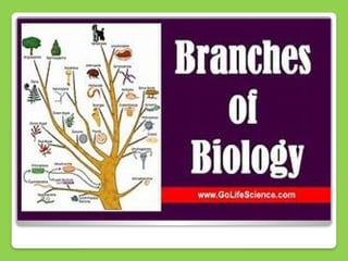 Branches of Biology, Earth and Life Science | PPTX