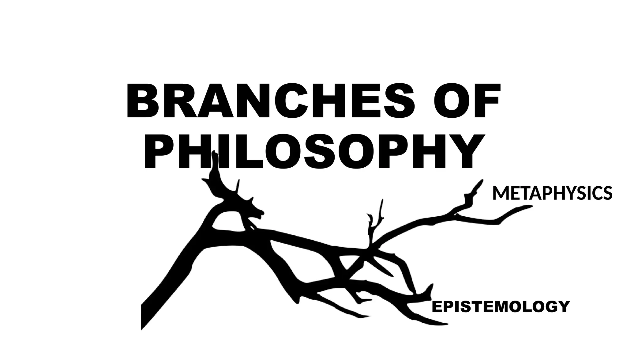 BRANCHES-OF-PHILOSOPHY-Metaphysics-Epistemology.pptx | Education