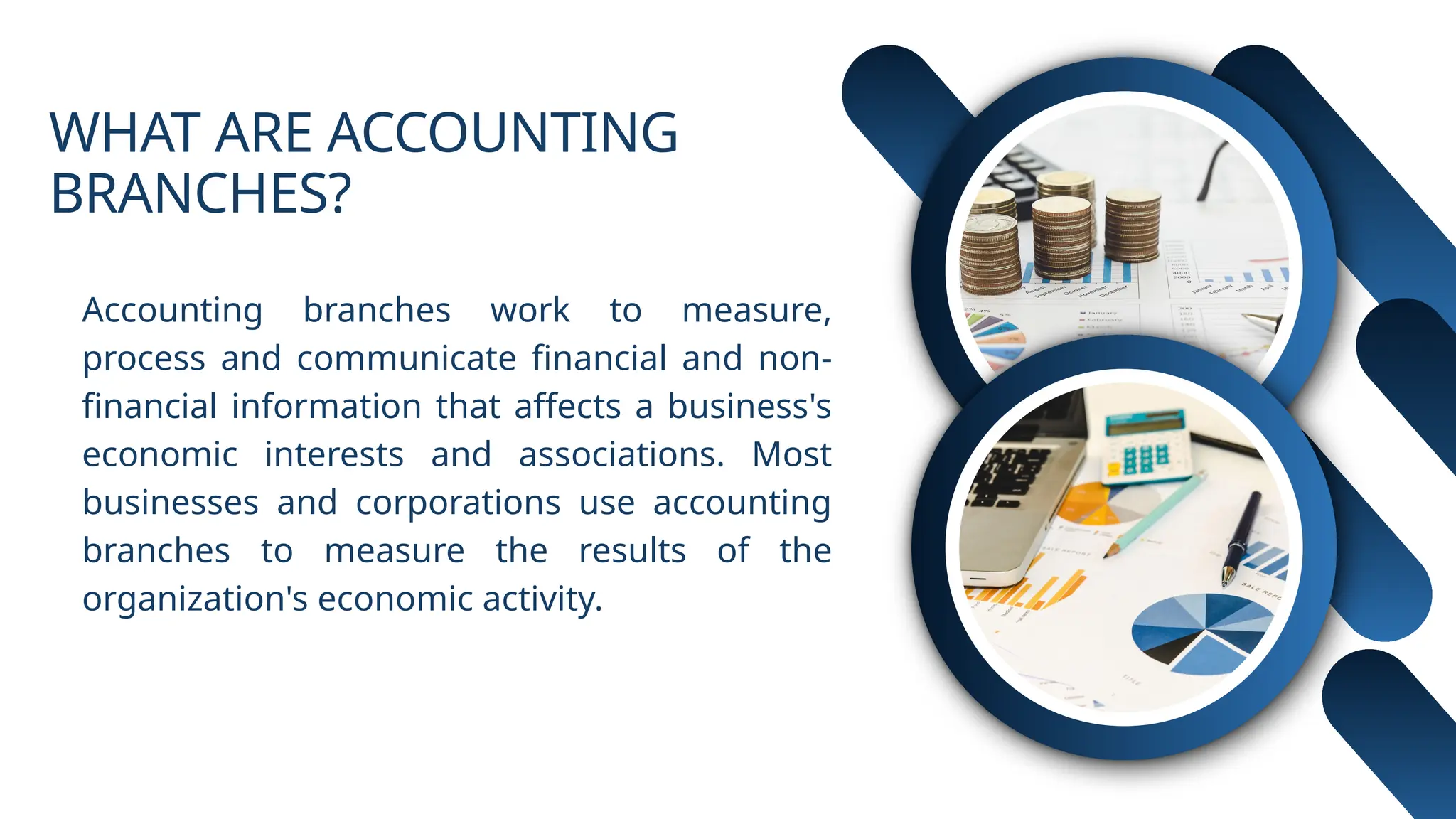 Branches of Accounting_Fundamental of ABM | PPTX