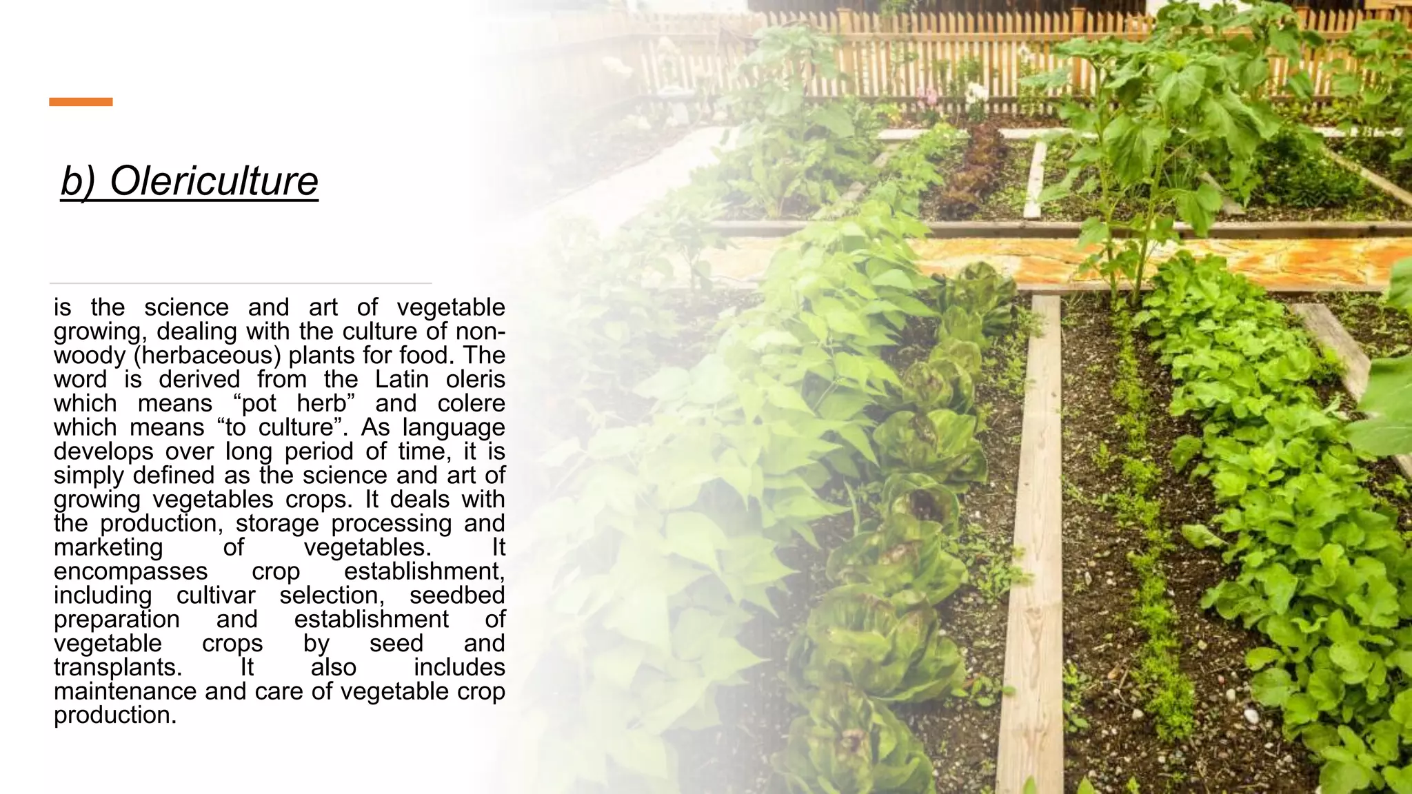 Branches of Agriculture.pptx