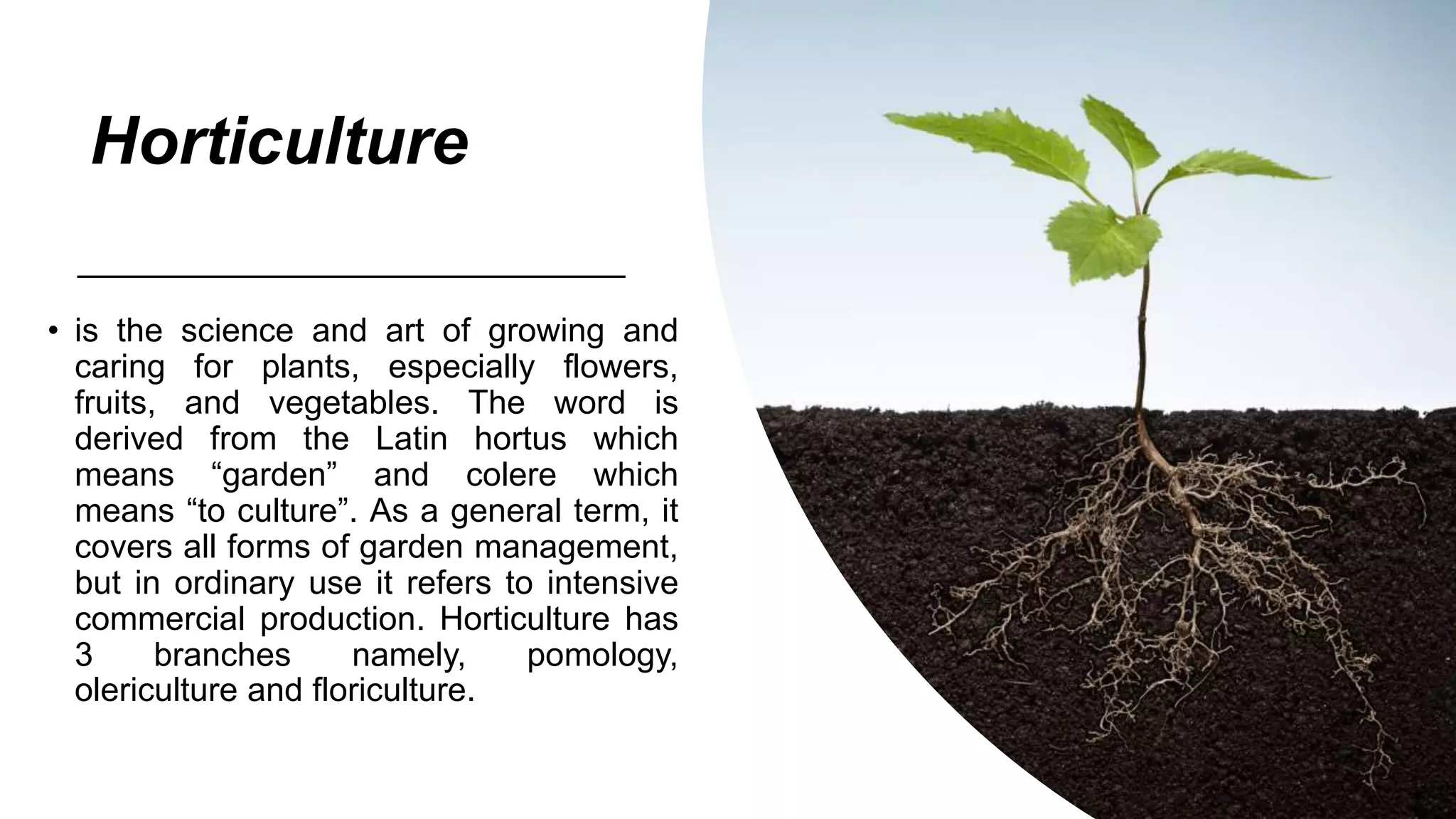 Branches of Agriculture.pptx