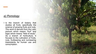 Branches of Agriculture.pptx