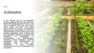 Branches of Agriculture.pptx