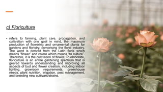 Branches of Agriculture.pptx