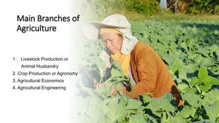 Branches of Agriculture.pptx