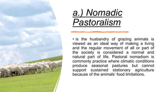 Branches of Agriculture.pptx
