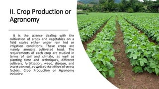 Branches of Agriculture.pptx