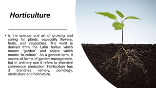 Branches of Agriculture.pptx