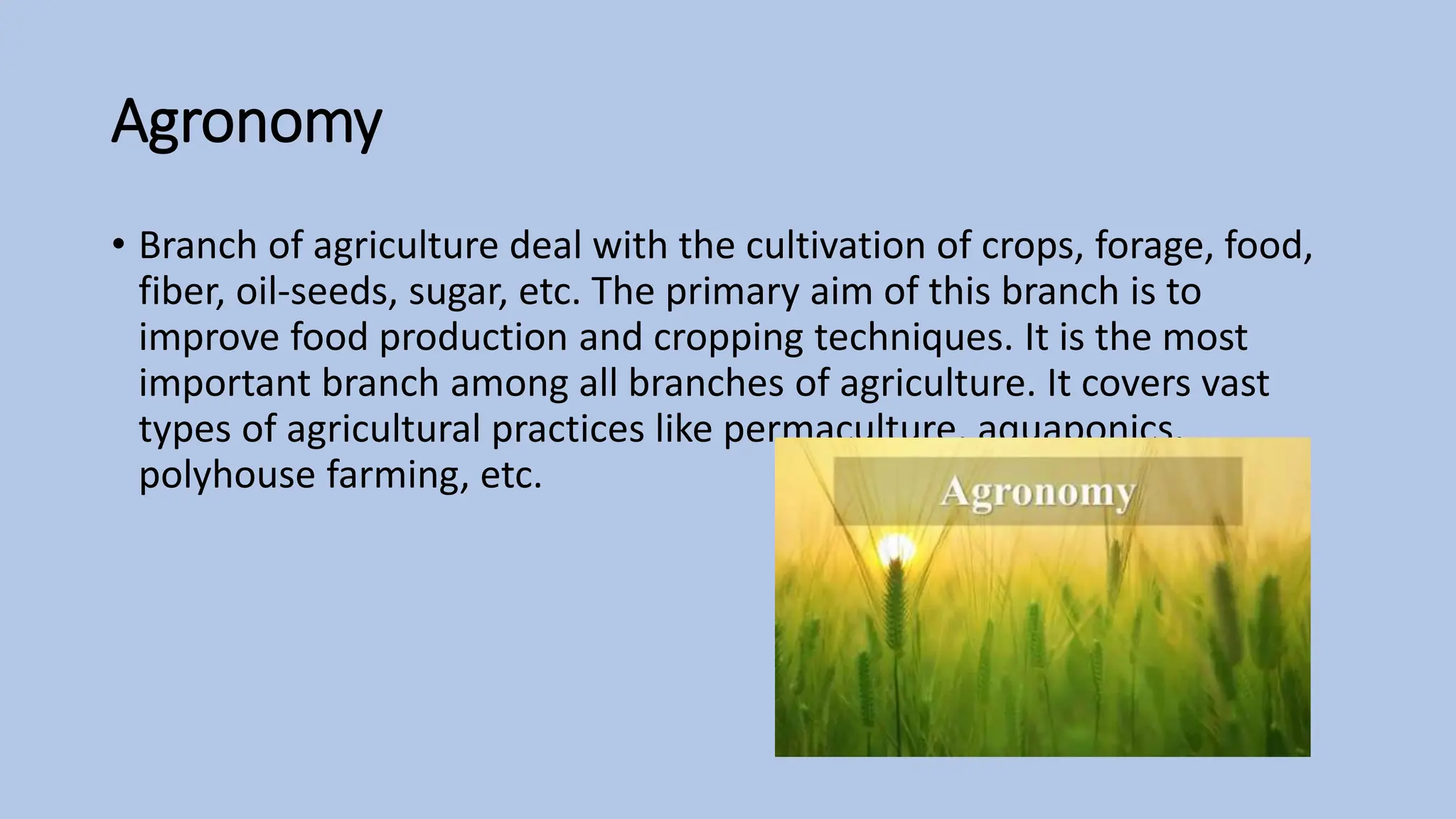branches of agriculture.pptx