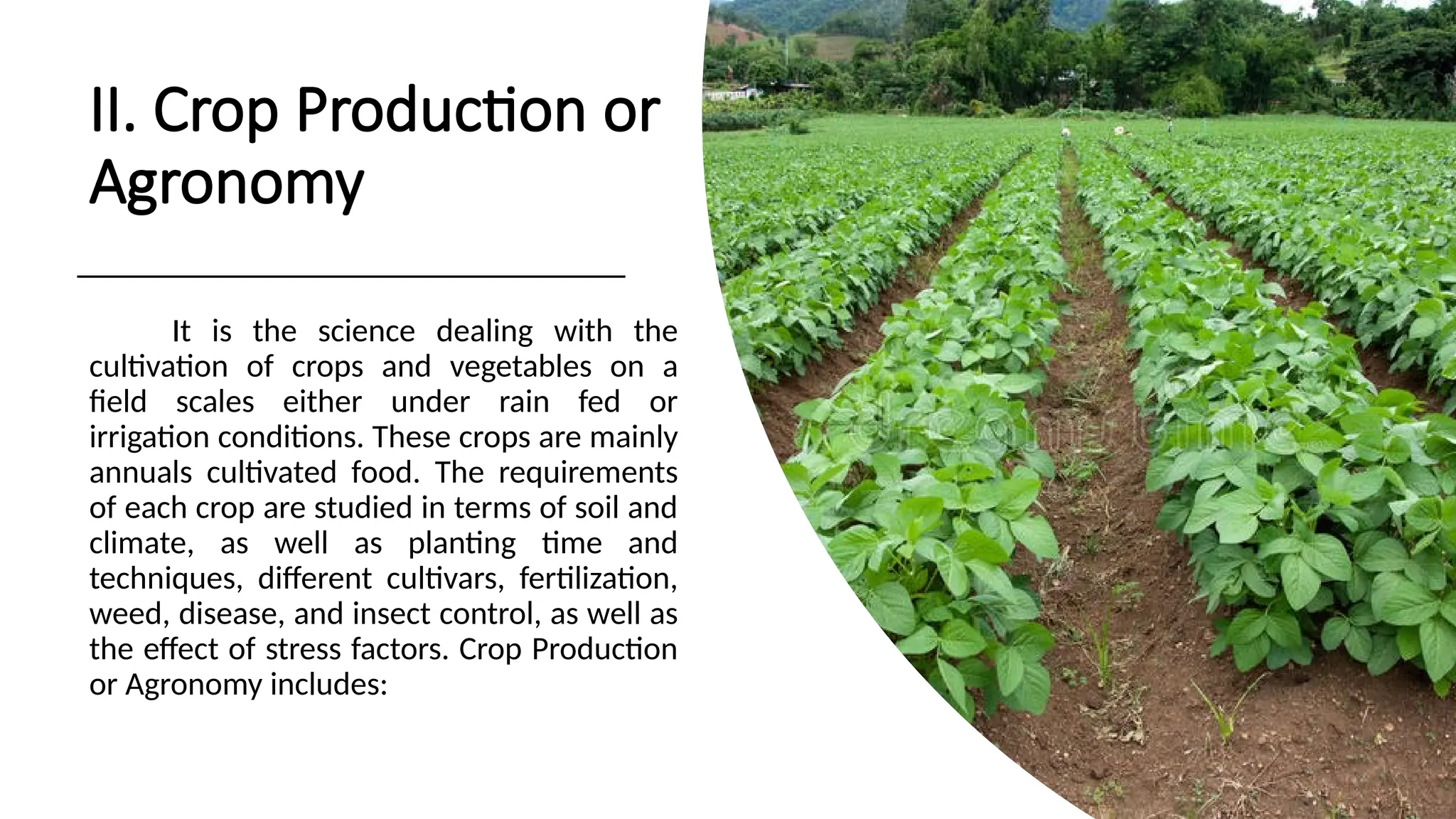 The Four Main Branches of Agriculture.pptx