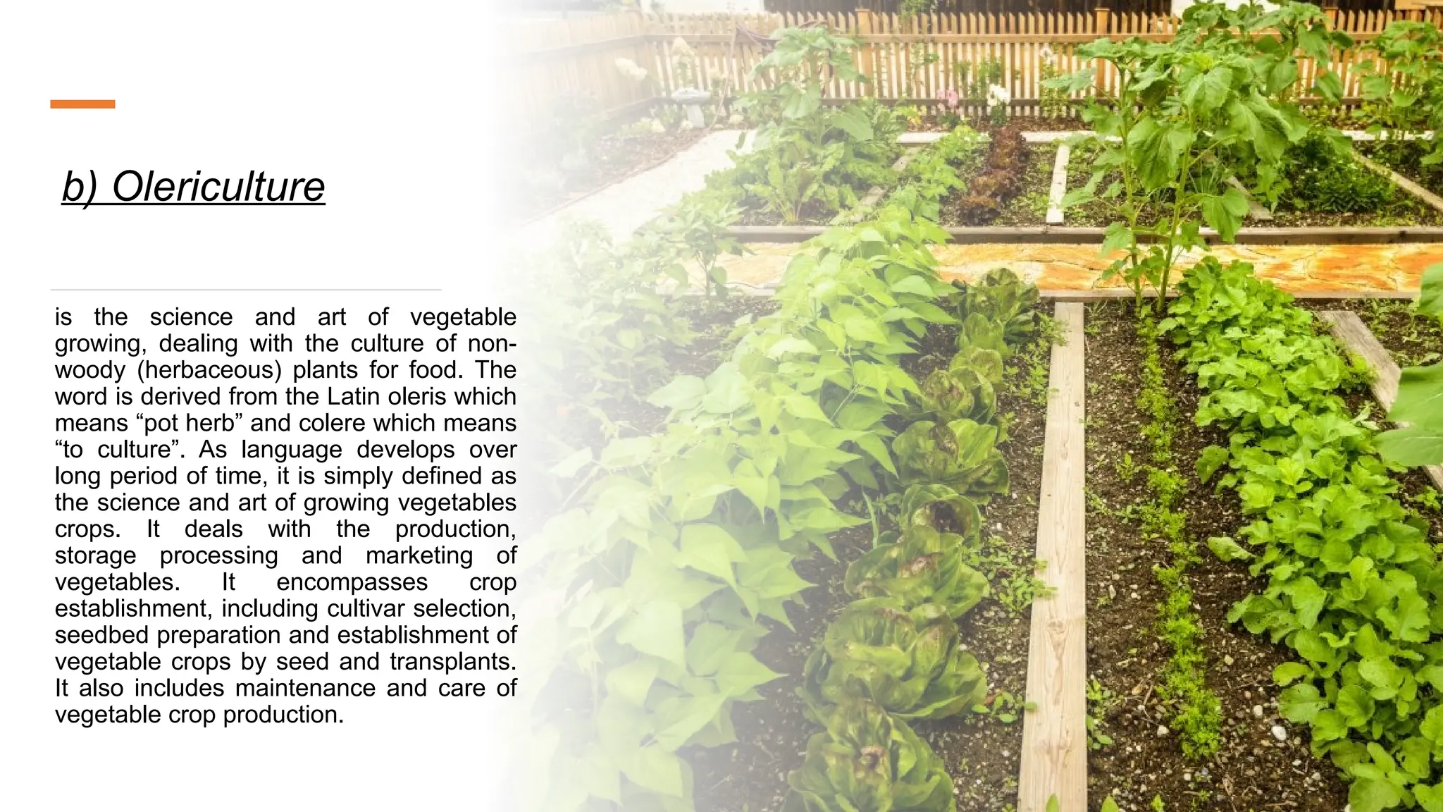 The Four Main Branches of Agriculture.pptx