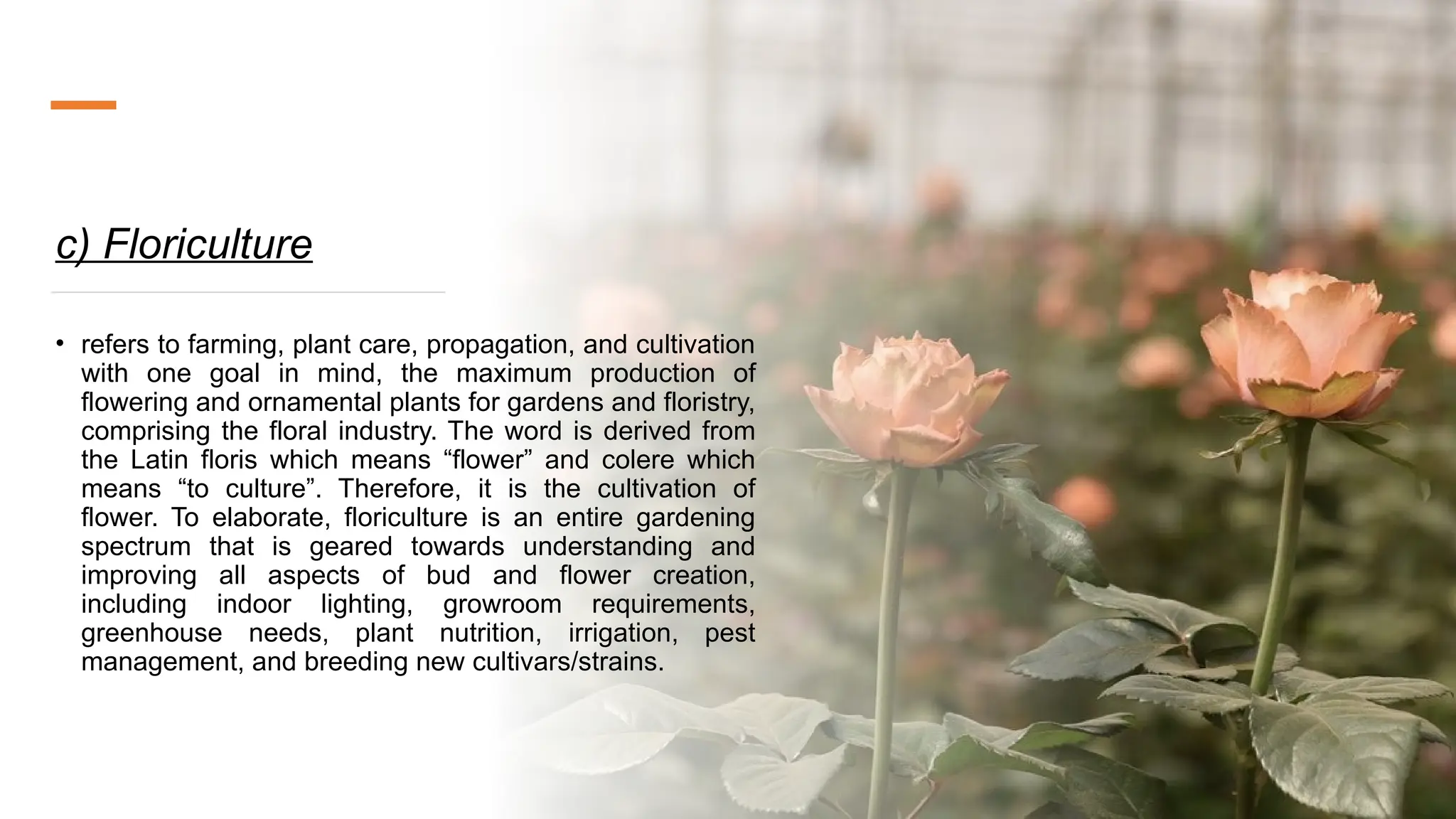 The Four Main Branches of Agriculture.pptx