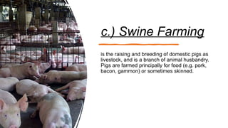 The Four Main Branches of Agriculture.pptx