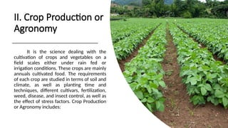 The Four Main Branches of Agriculture.pptx