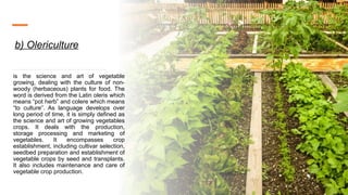 The Four Main Branches of Agriculture.pptx