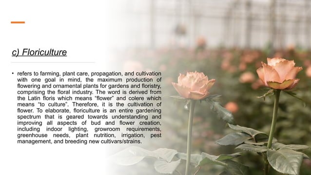 The Four Main Branches of Agriculture.pptx | Agriculture | Industries