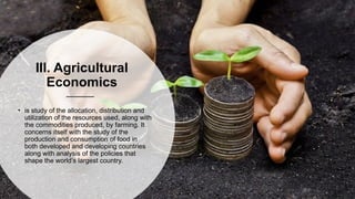 The Four Main Branches of Agriculture.pptx