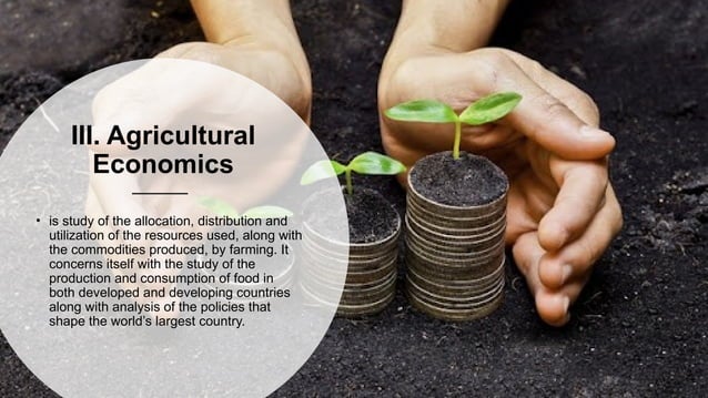 The Four Main Branches of Agriculture.pptx | Agriculture | Industries