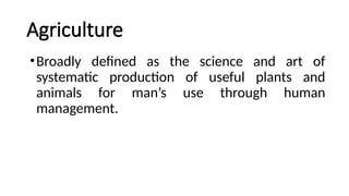 The Four Main Branches of Agriculture.pptx
