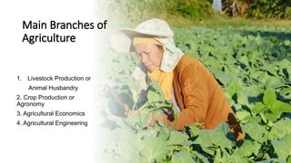 The Four Main Branches of Agriculture.pptx