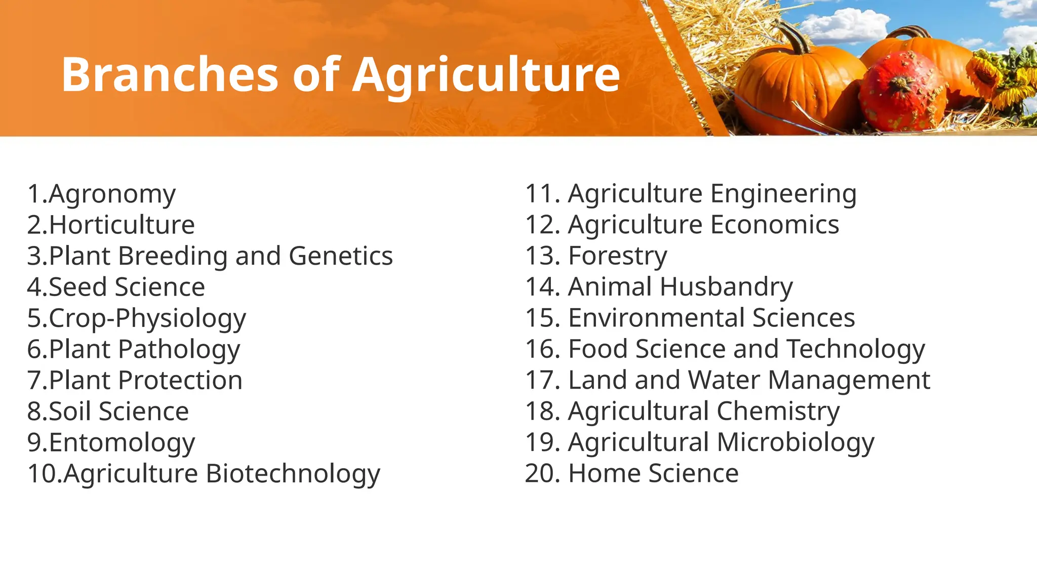 BRANCHES OF AGRICULTURE (1).pptx-studypi | PPTX