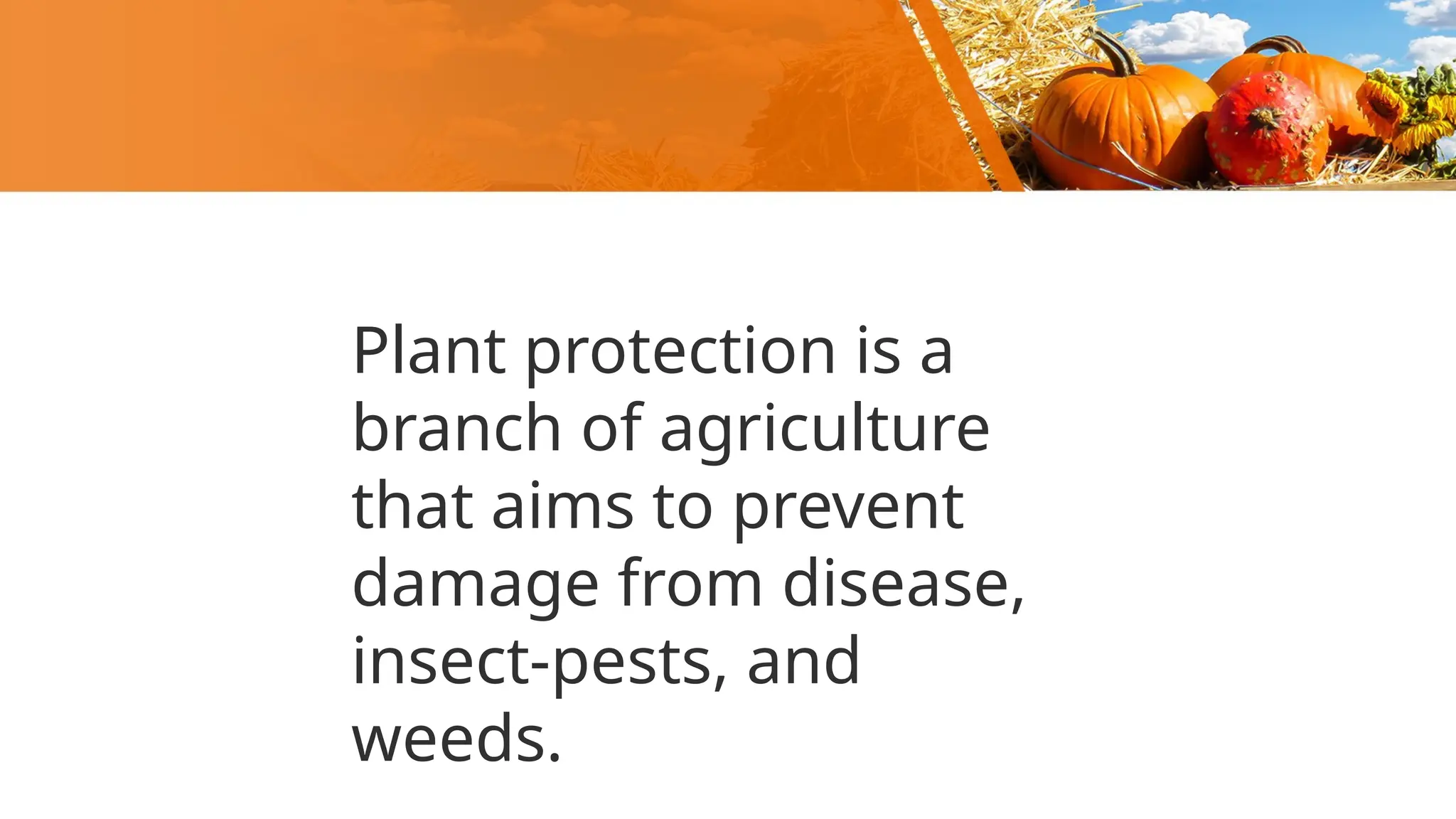 BRANCHES OF AGRICULTURE (1).pptx-studypi | PPTX