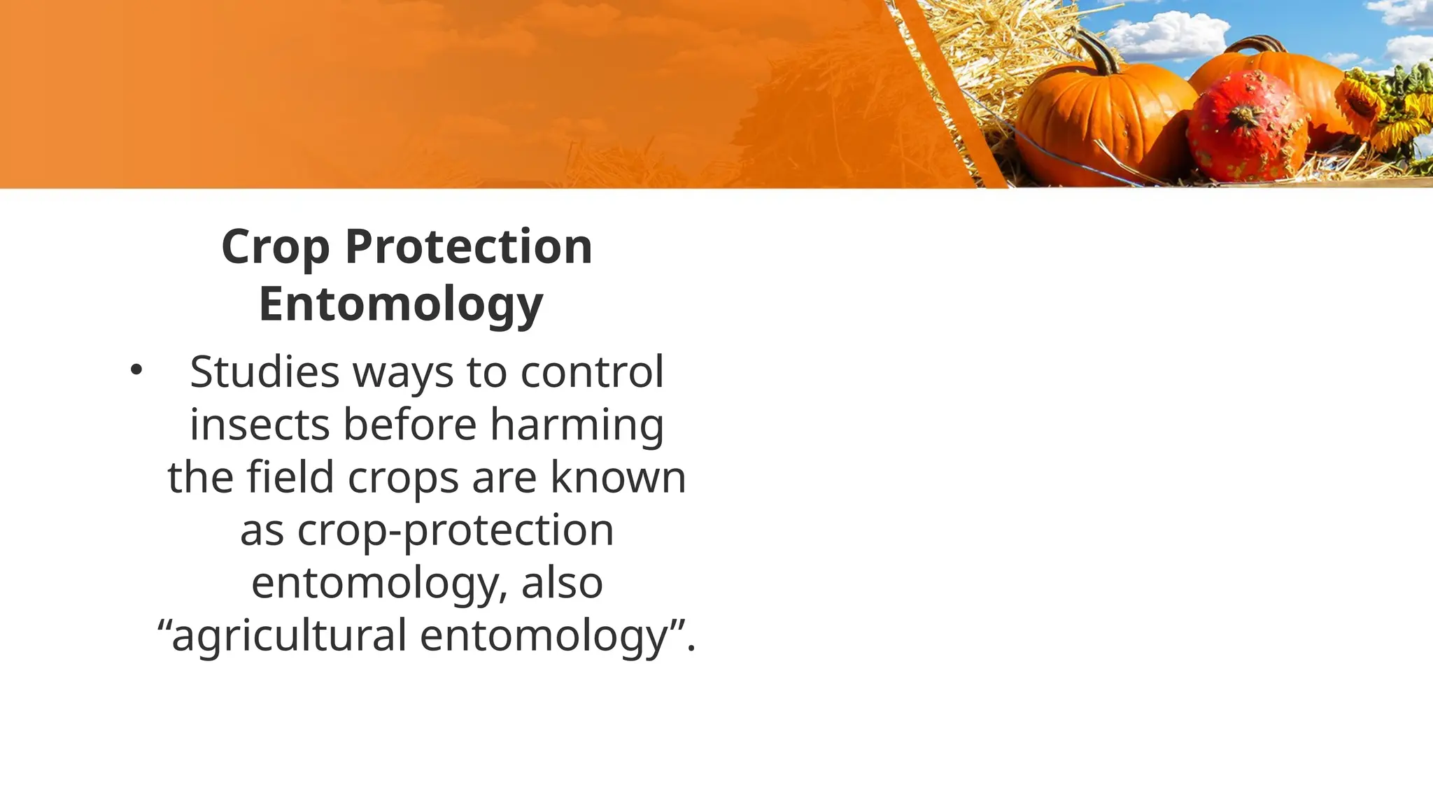 BRANCHES OF AGRICULTURE (1).pptx-studypi | PPTX