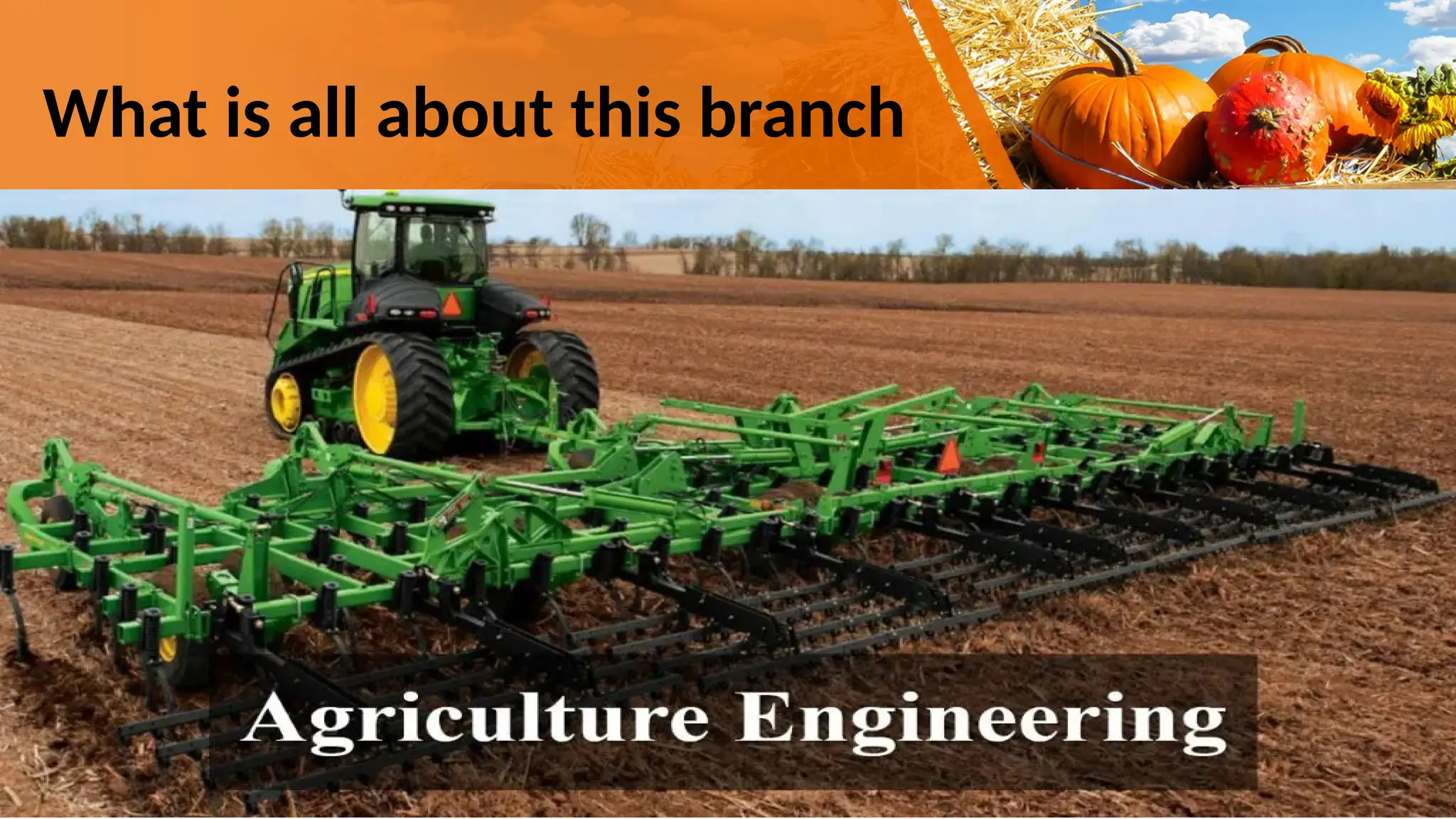 BRANCHES OF AGRICULTURE (1).pptx-studypi | PPTX
